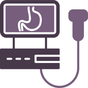 Cat-Only Veterinarian in Ormond Beach, FL | Cat Care Clinic